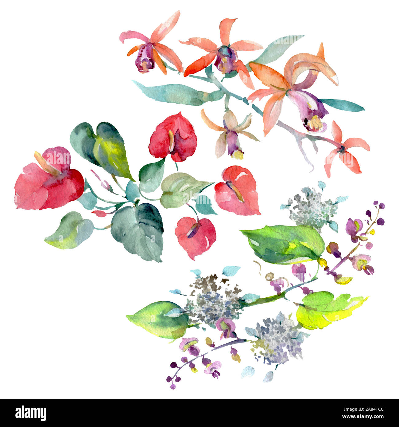 Bouquet floral botanical flowers. Watercolor background illustration ...