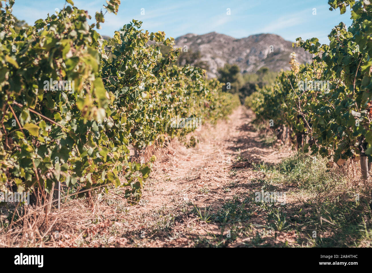 Autumn in provence hi-res stock photography and images - Alamy
