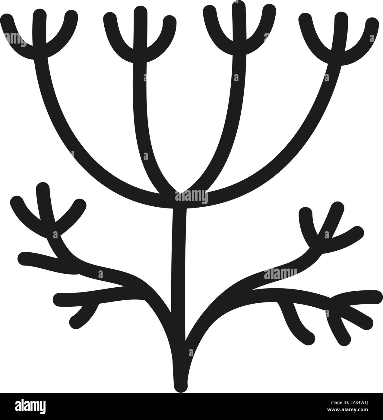 Fresh organic dill background Black and White Stock Photos & Images - Alamy