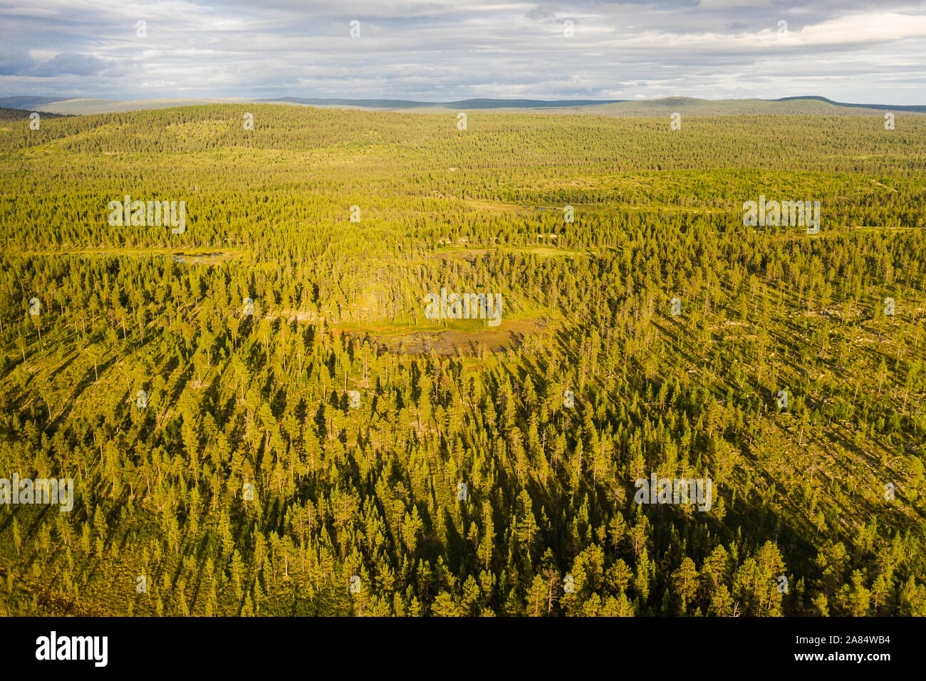 Typical finnish nature hi-res stock photography and images - Alamy