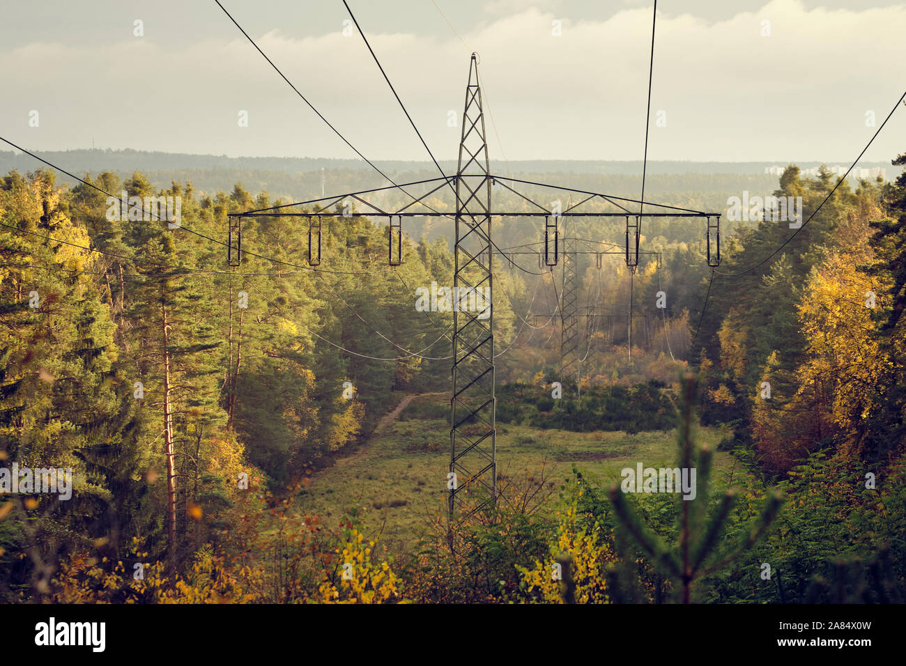 Forest of pylons hi-res stock photography and images - Alamy