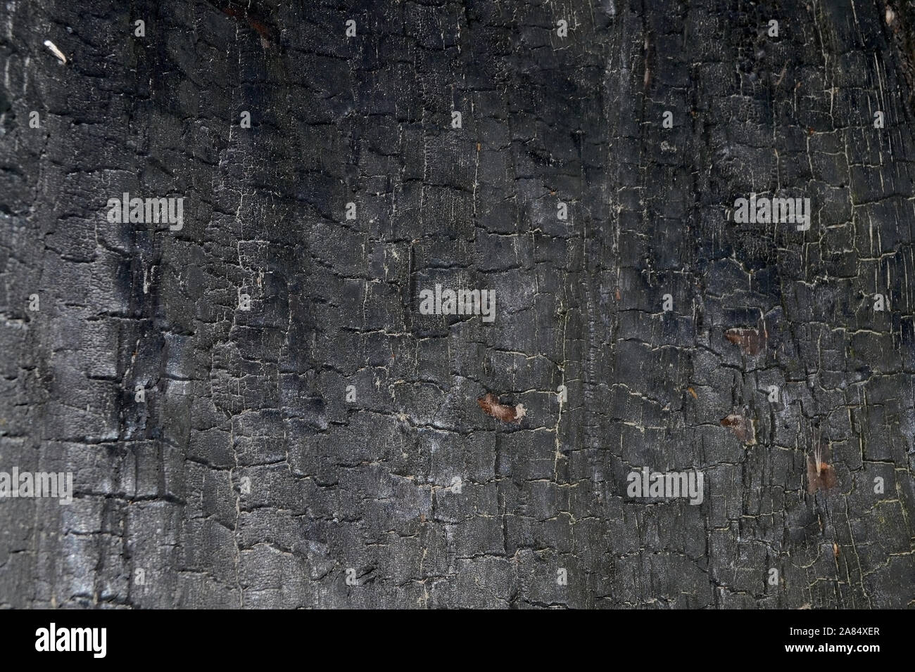 Burnt wood texture hi-res stock photography and images - Alamy
