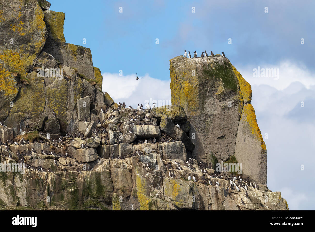 The shiant isles hi-res stock photography and images - Alamy
