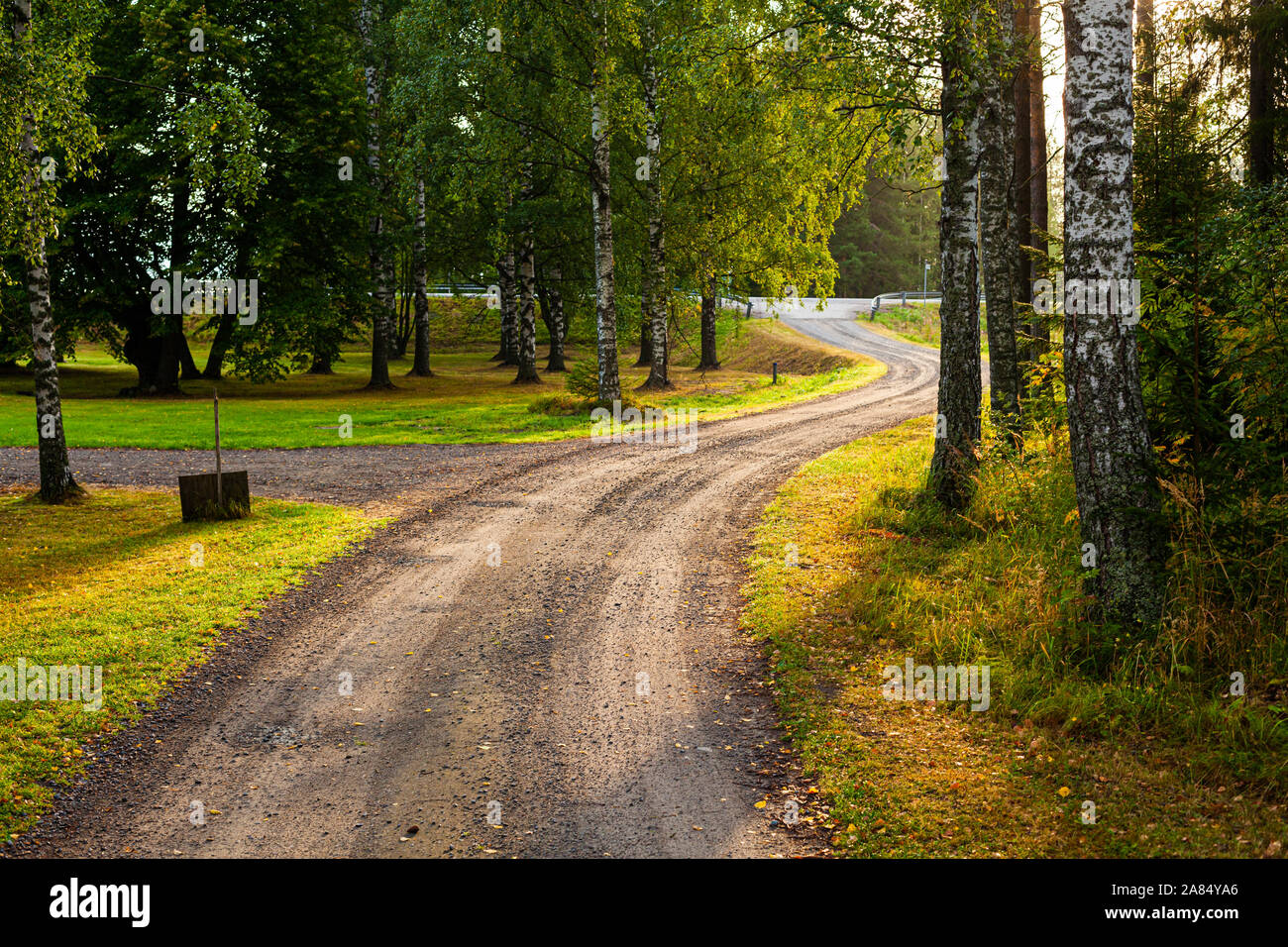 Winding Dirt Paths