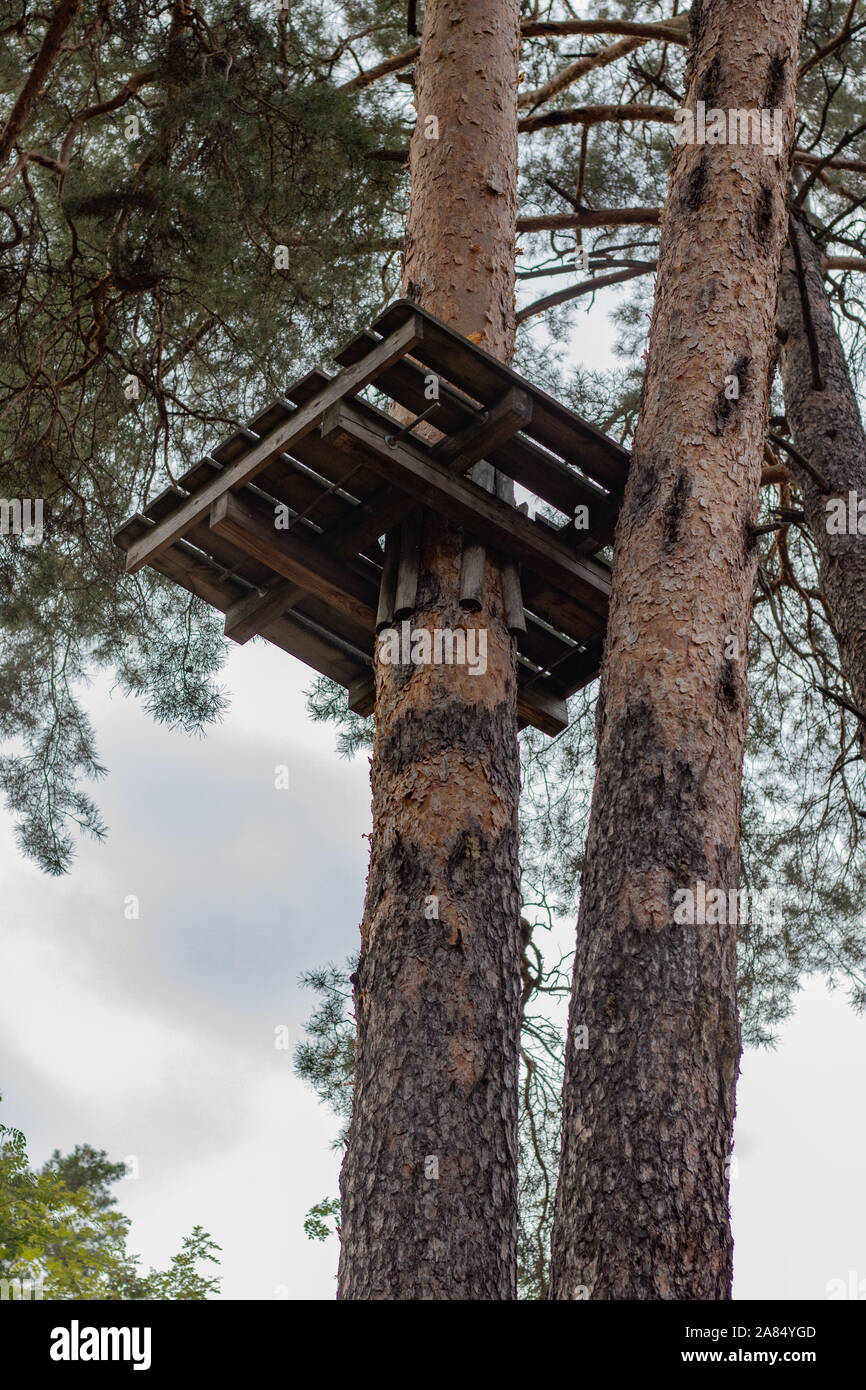 Wooden Platform for treehouse in the amusement climb park Stock Photo ...