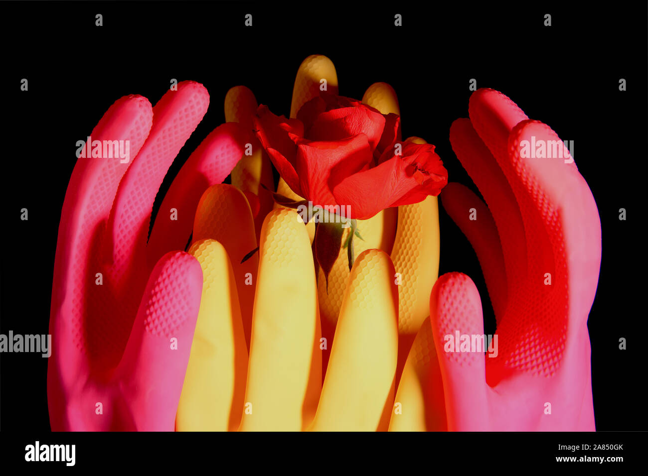 Abstract composition with rubber gloves and a red rose Stock Photo - Alamy