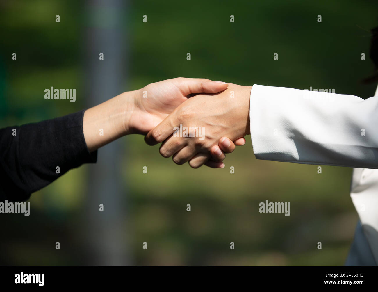 Close-up on woman hands shaking in public Stock Photo - Alamy