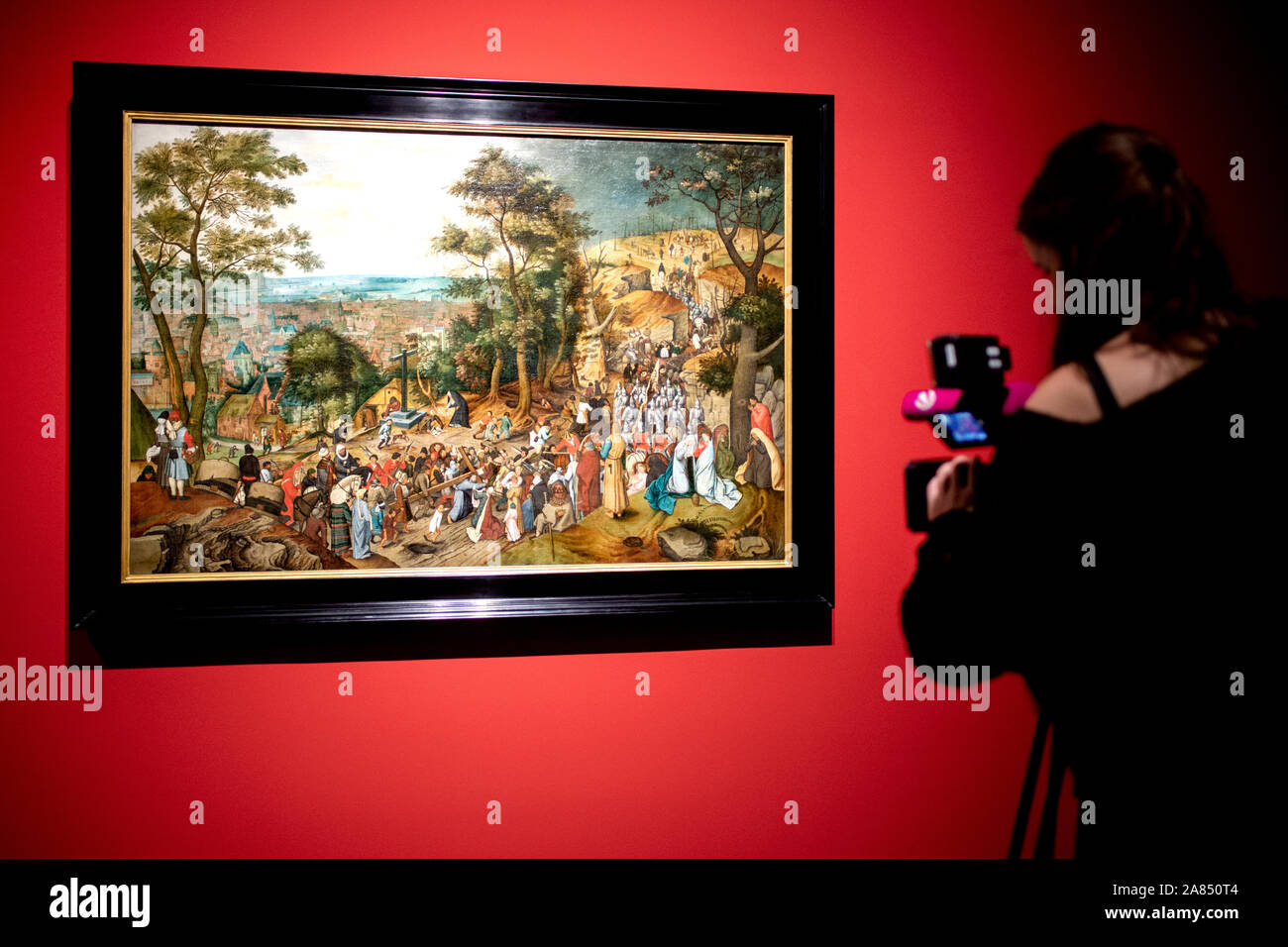Brunswick, Germany. 06th Nov, 2019. In an exhibition room in the Herzog ...