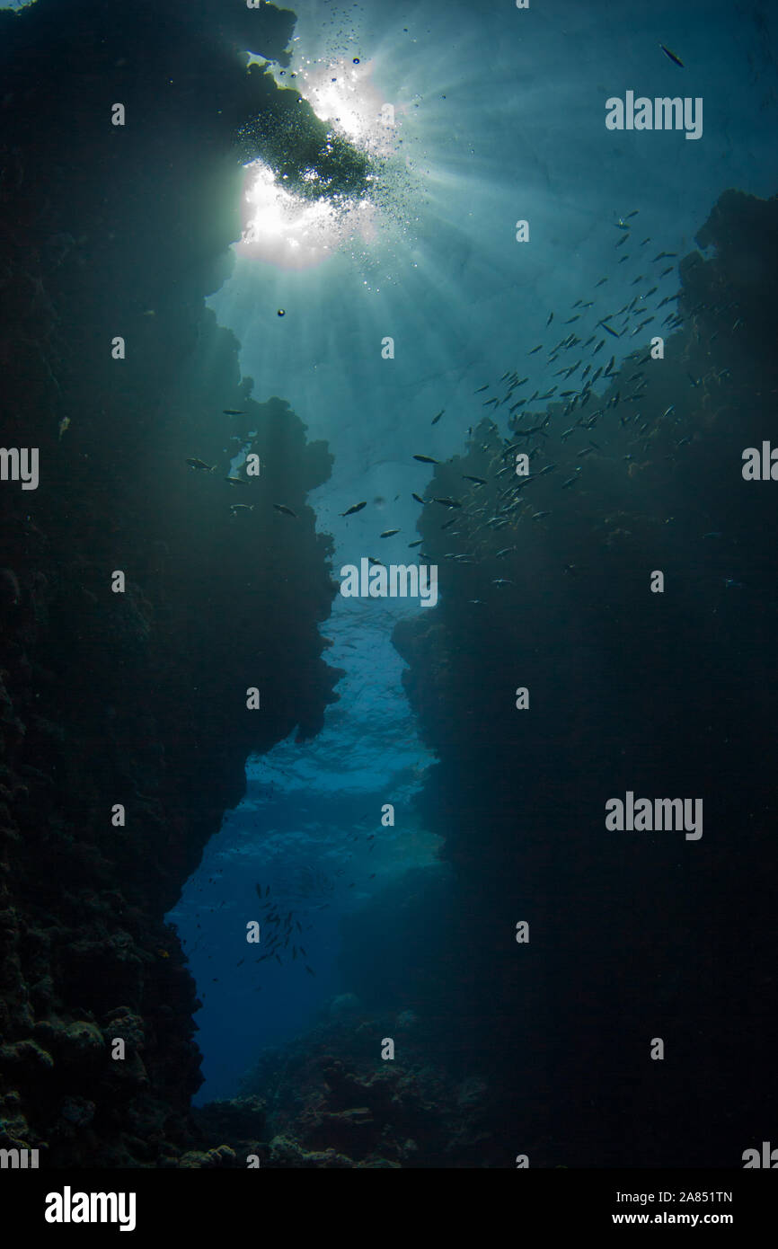 Magic underwater world Stock Photo - Alamy