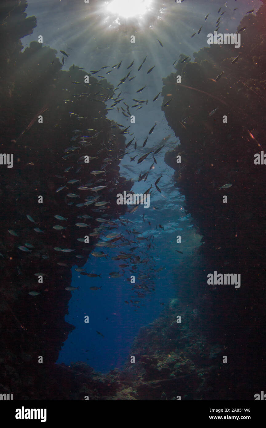 Underwaterpics hi-res stock photography and images - Alamy