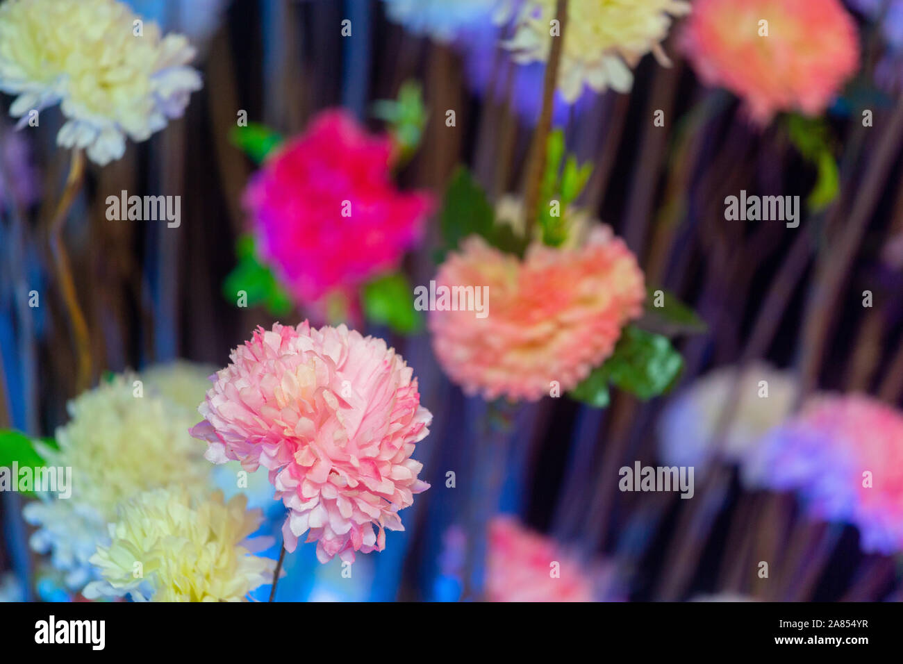 Hand made paper flower stick and colorful lighting Stock Photo - Alamy