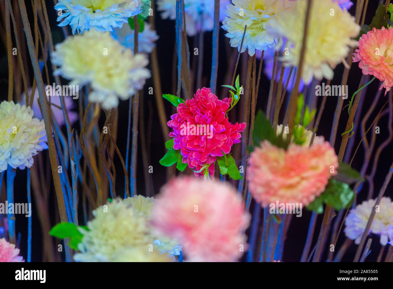 Hand made paper flower stick and colorful lighting Stock Photo - Alamy