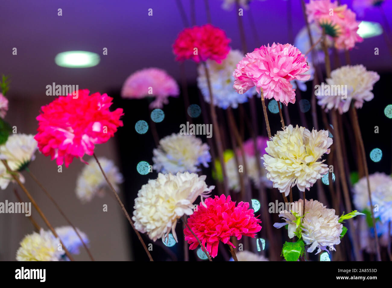 Hand made paper flower stick and colorful lighting Stock Photo - Alamy