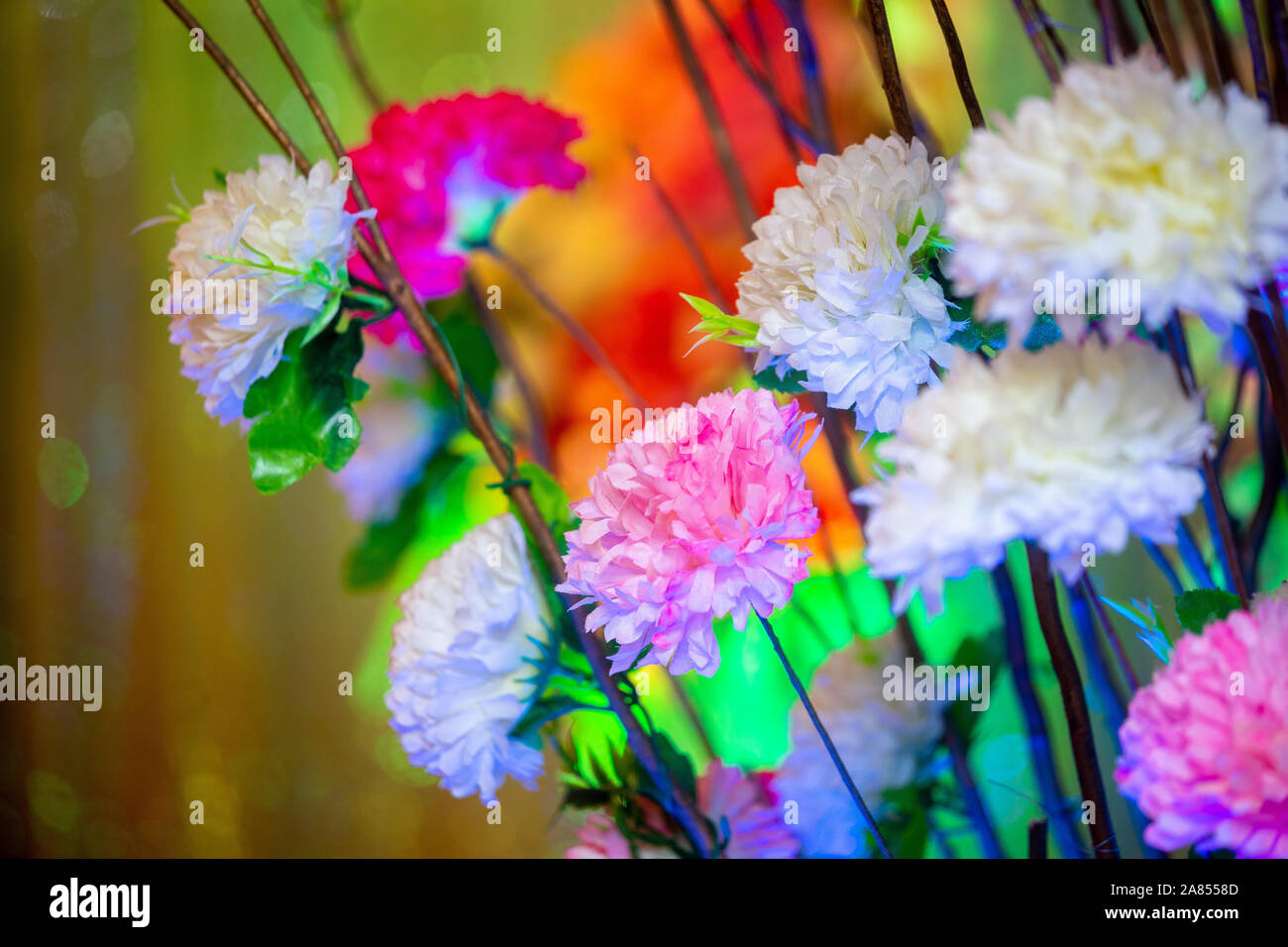 Hand made paper flower stick and colorful lighting Stock Photo - Alamy