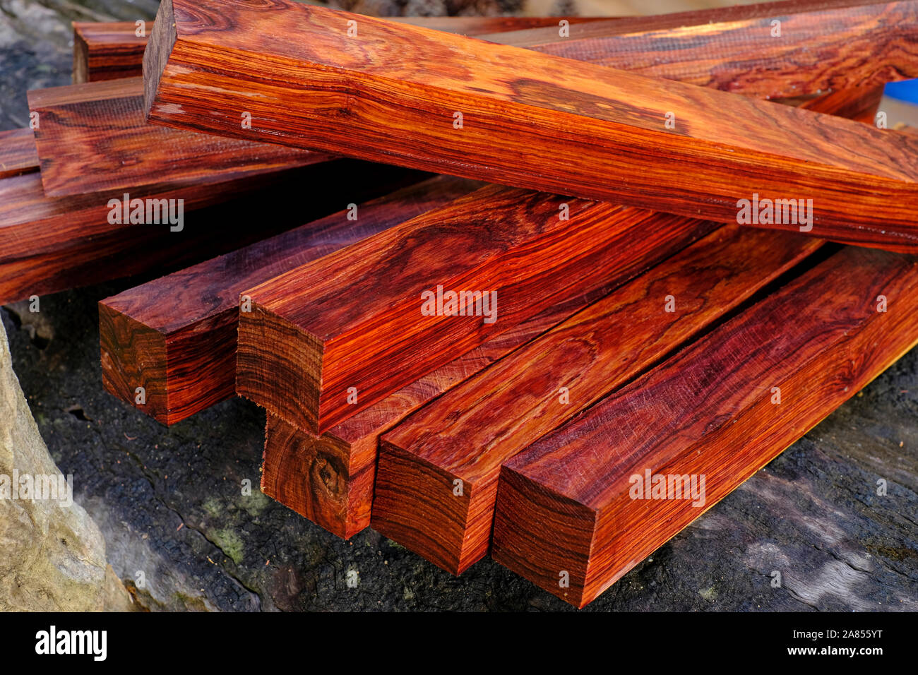 Wood logs of Burmese rosewood, Exotic wooded beautiful pattern for ...