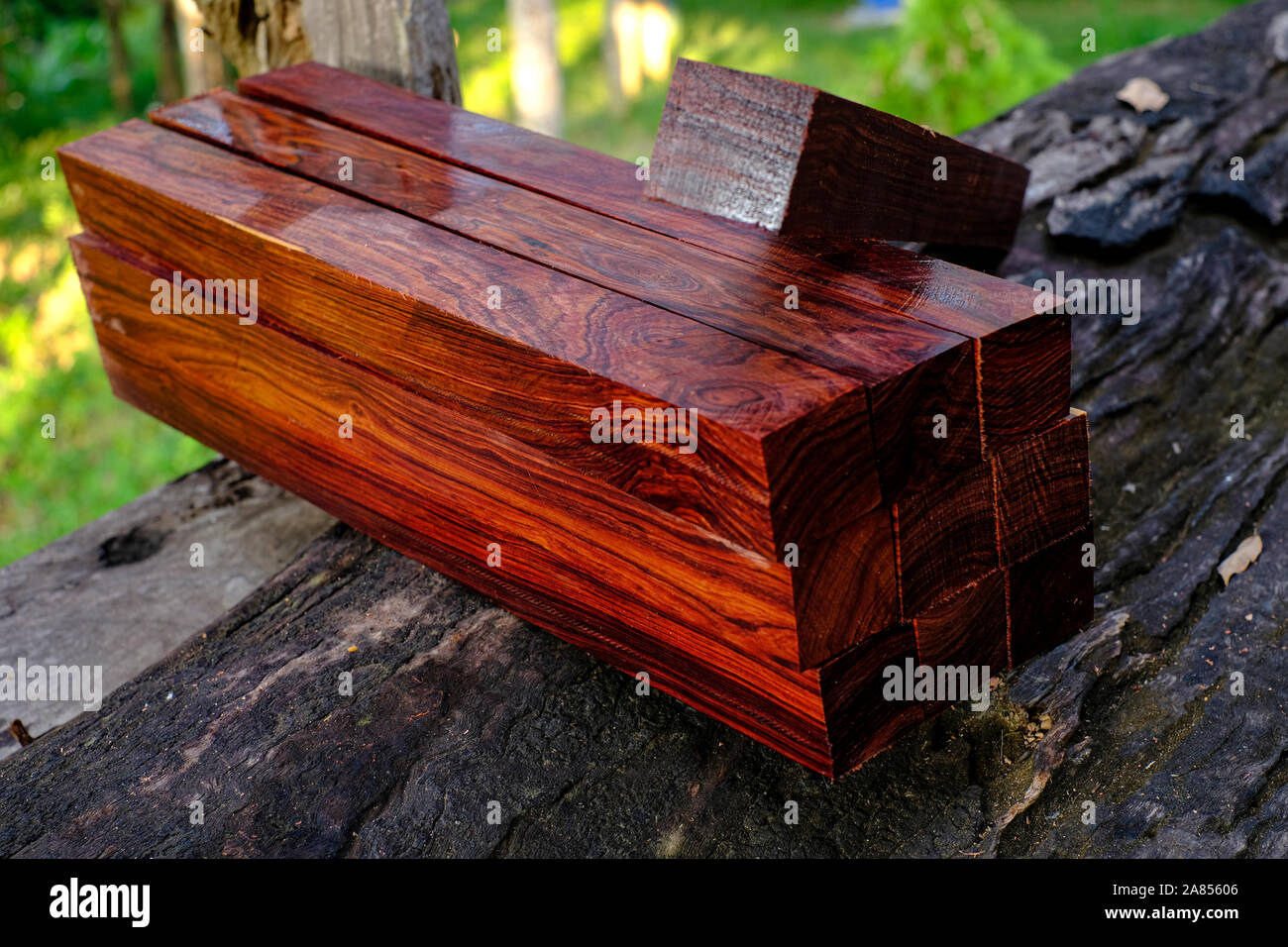 Burmese rosewood hi-res stock photography and images - Alamy