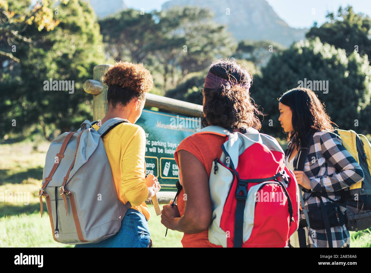Female in woods hi-res stock photography and images - Alamy