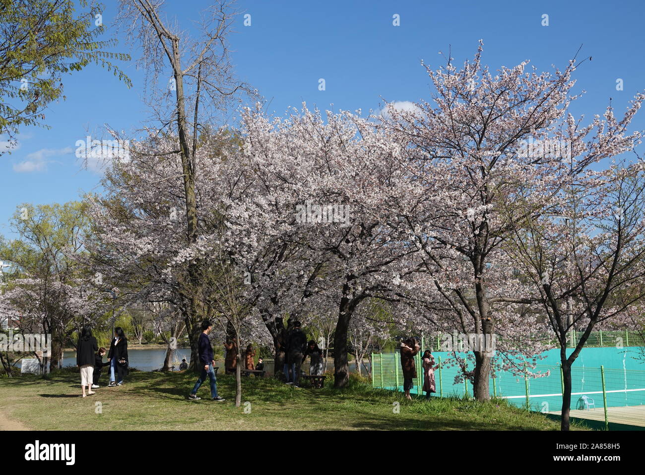 Spring on the university campus Stock Photo - Alamy