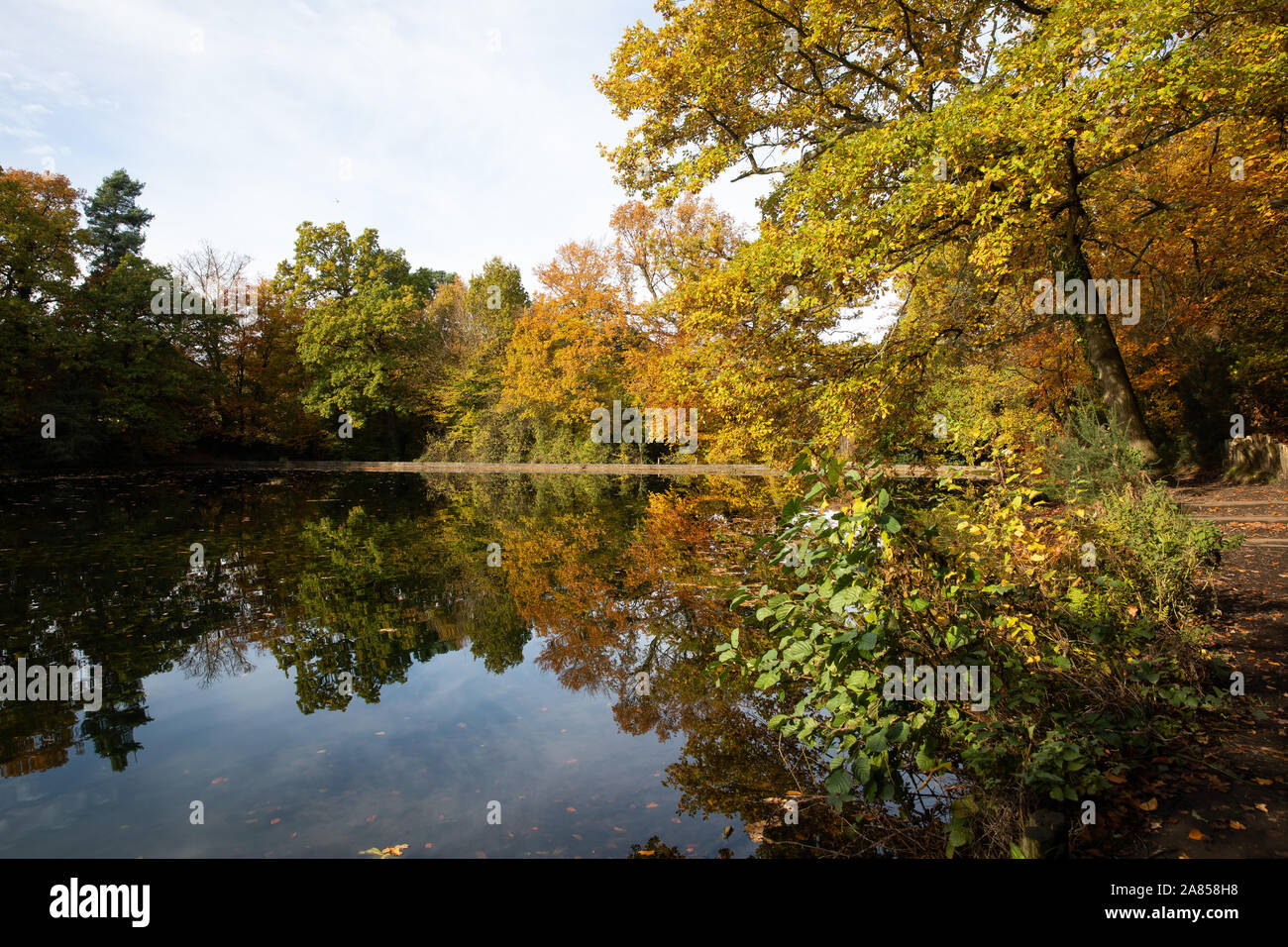 Keston Ponds,Kent,UK,6th November 2019,Glorious Autumn sunshine over ...