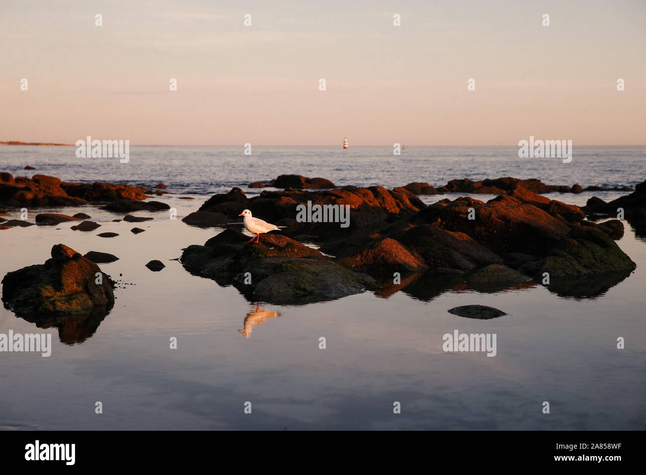 Larmor plage morbihan hi-res stock photography and images - Alamy