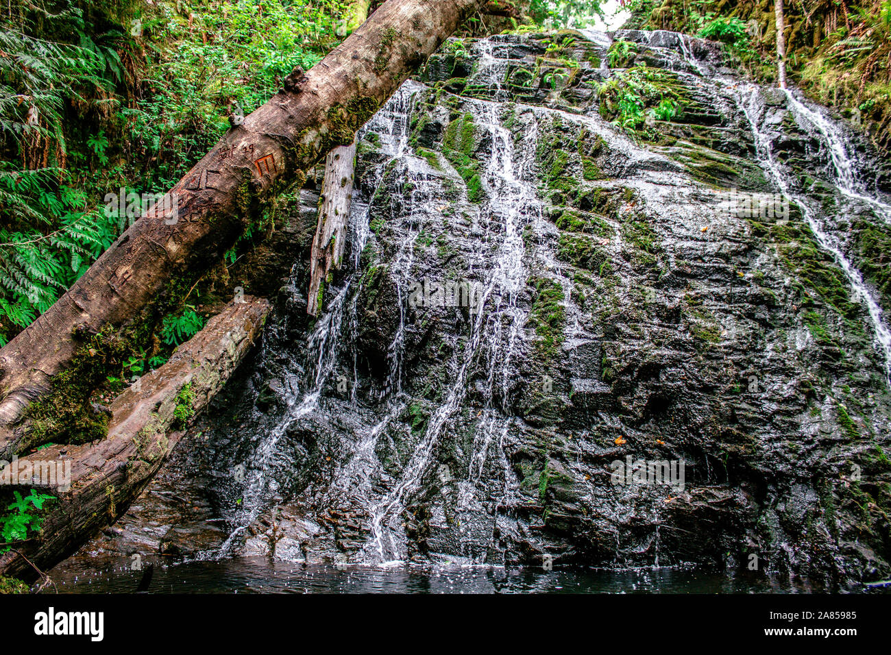 Seattle, Washington - Waterfalls in the woods Stock Photo - Alamy