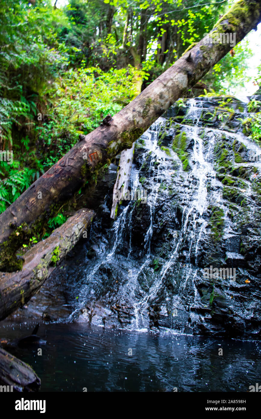 Seattle hiking waterfall hi-res stock photography and images - Alamy
