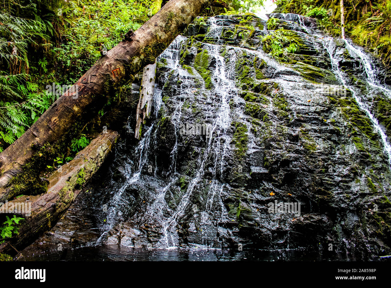 Dickerson falls trail hi-res stock photography and images - Alamy