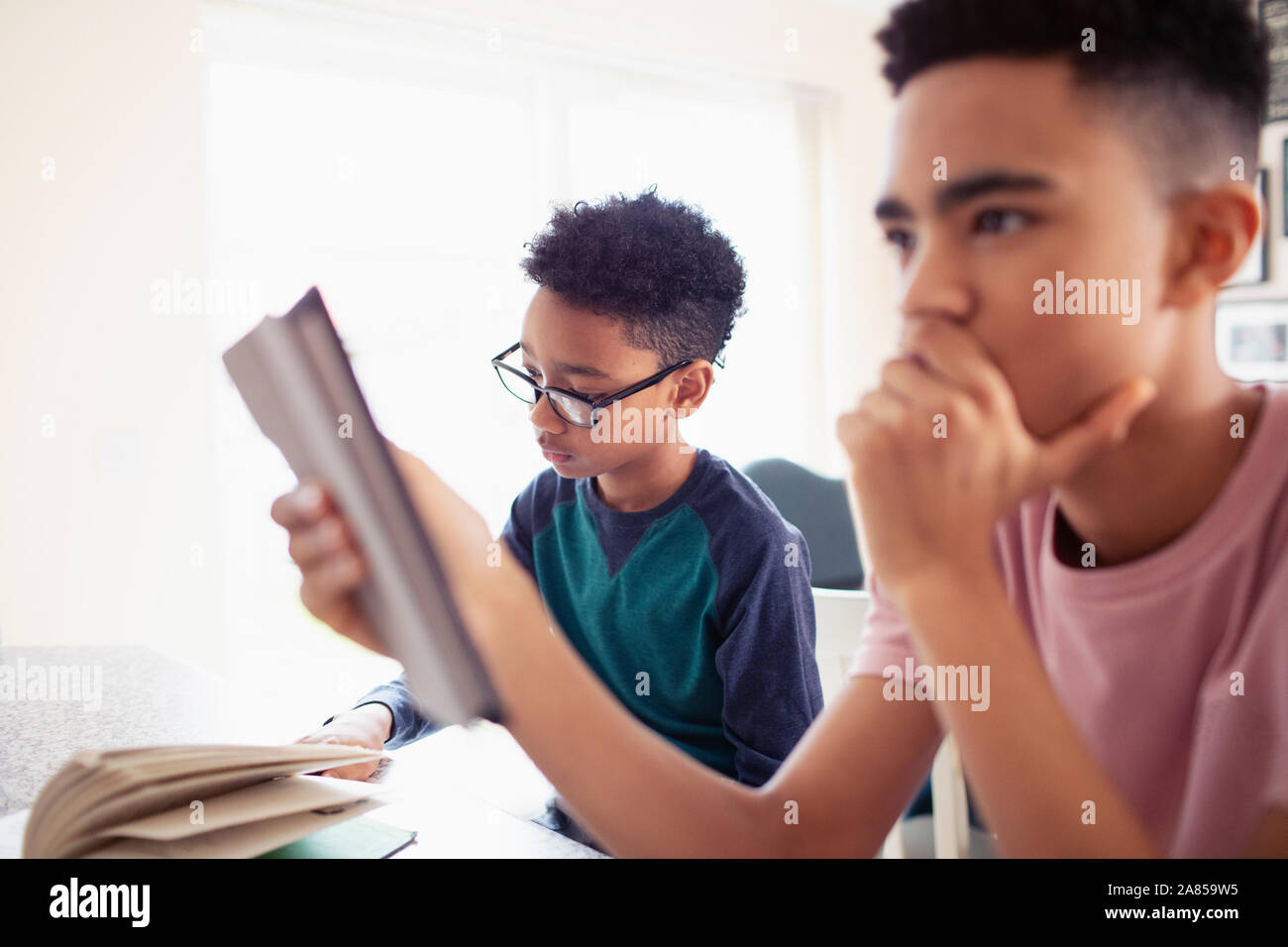 Teenage boys doing homework Stock Photo - Alamy