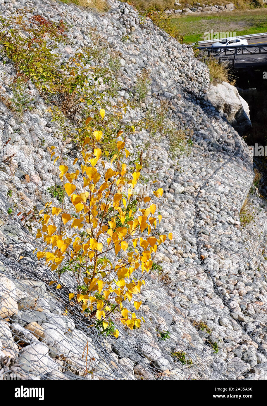 Landslide protection hi-res stock photography and images - Alamy