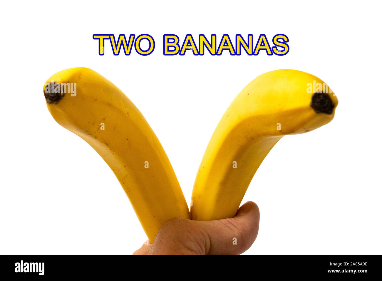 A bunch of two yellow bananas. Bright fresh fruits. Isolated photo for ...