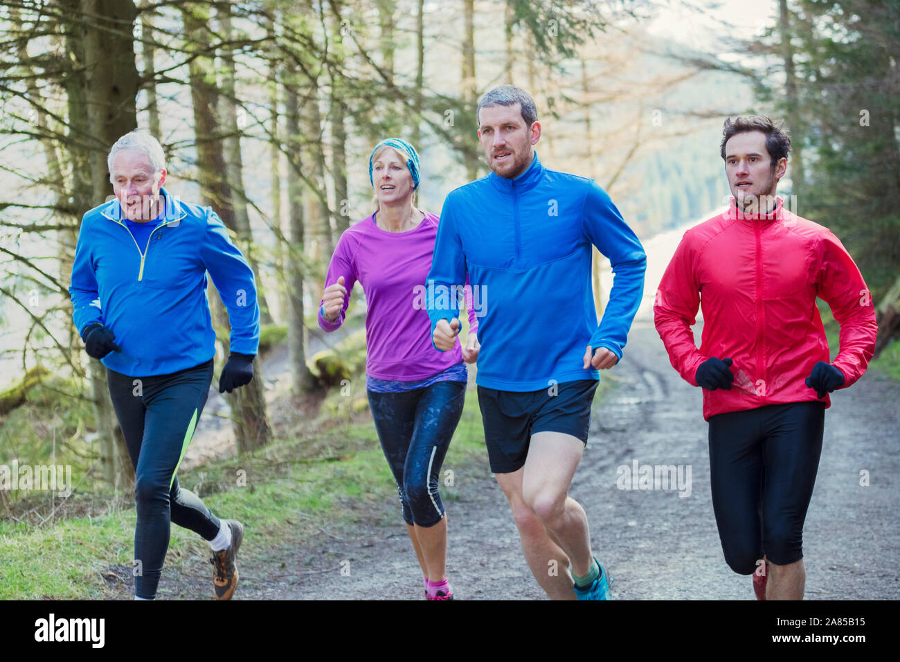 Family jogging on trail in woods Stock Photo - Alamy