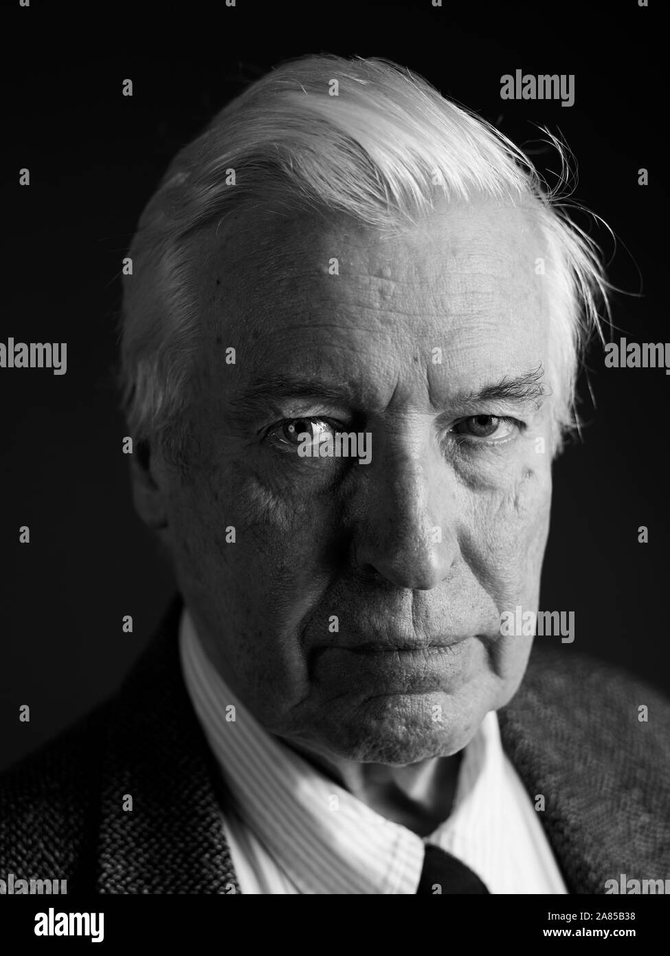 John McEwen at The Oldie Literary Lunch; 05/11/19 Stock Photo - Alamy