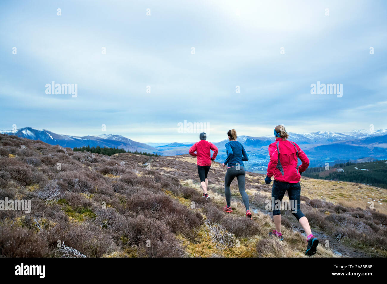 Three women friends rear hi-res stock photography and images - Alamy