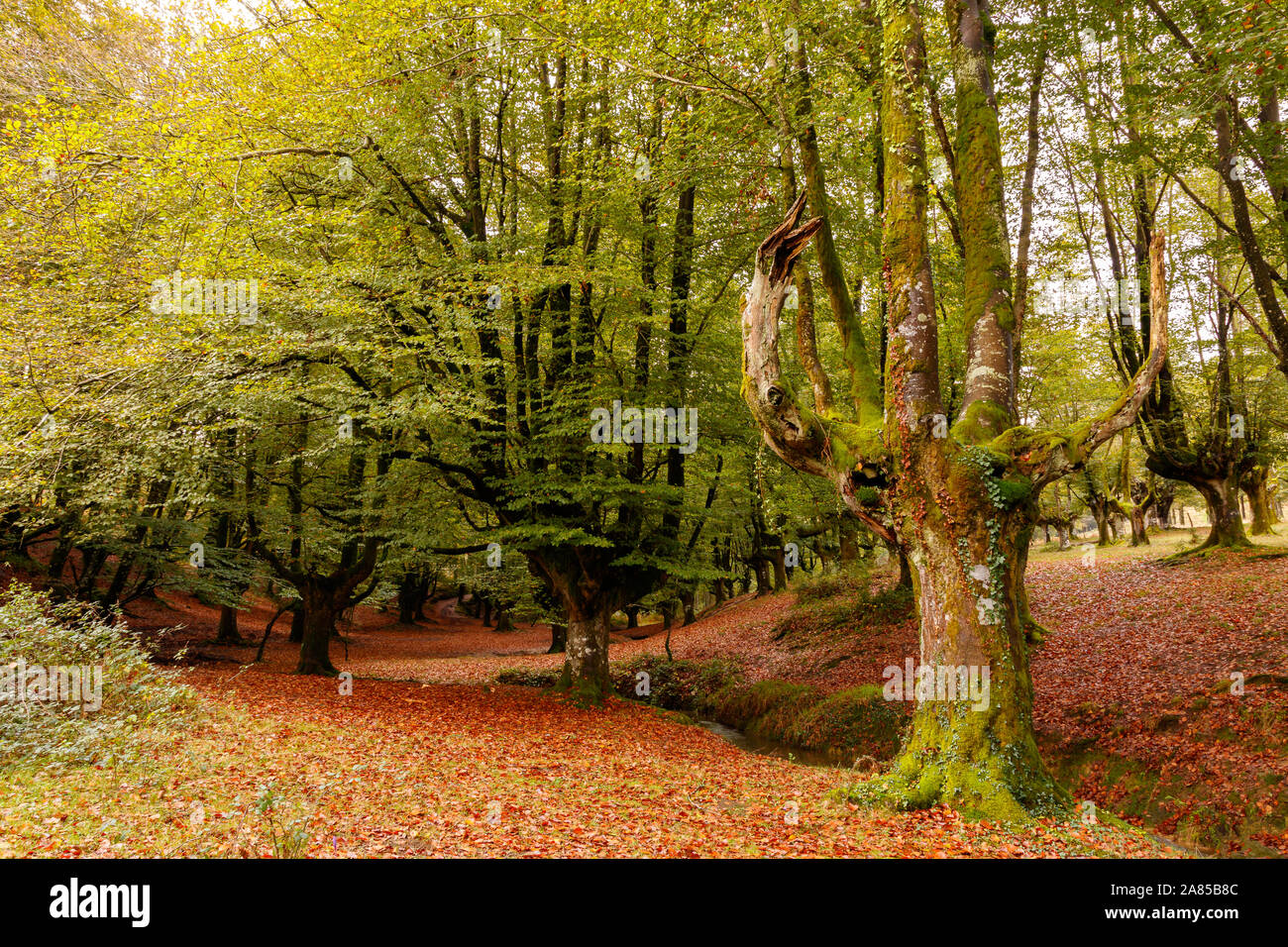 Country magic hi-res stock photography and images - Alamy