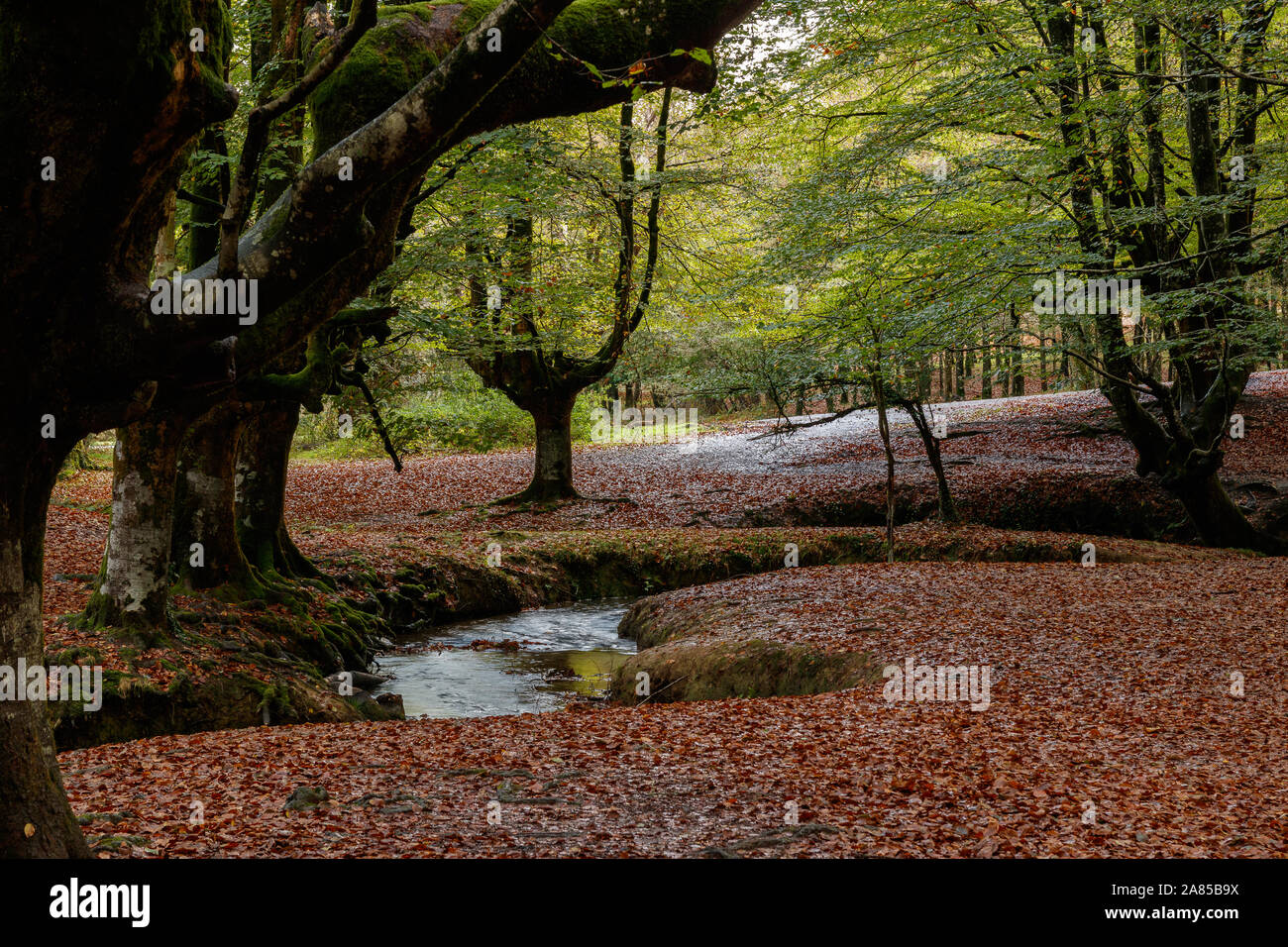 Country magic hi-res stock photography and images - Alamy