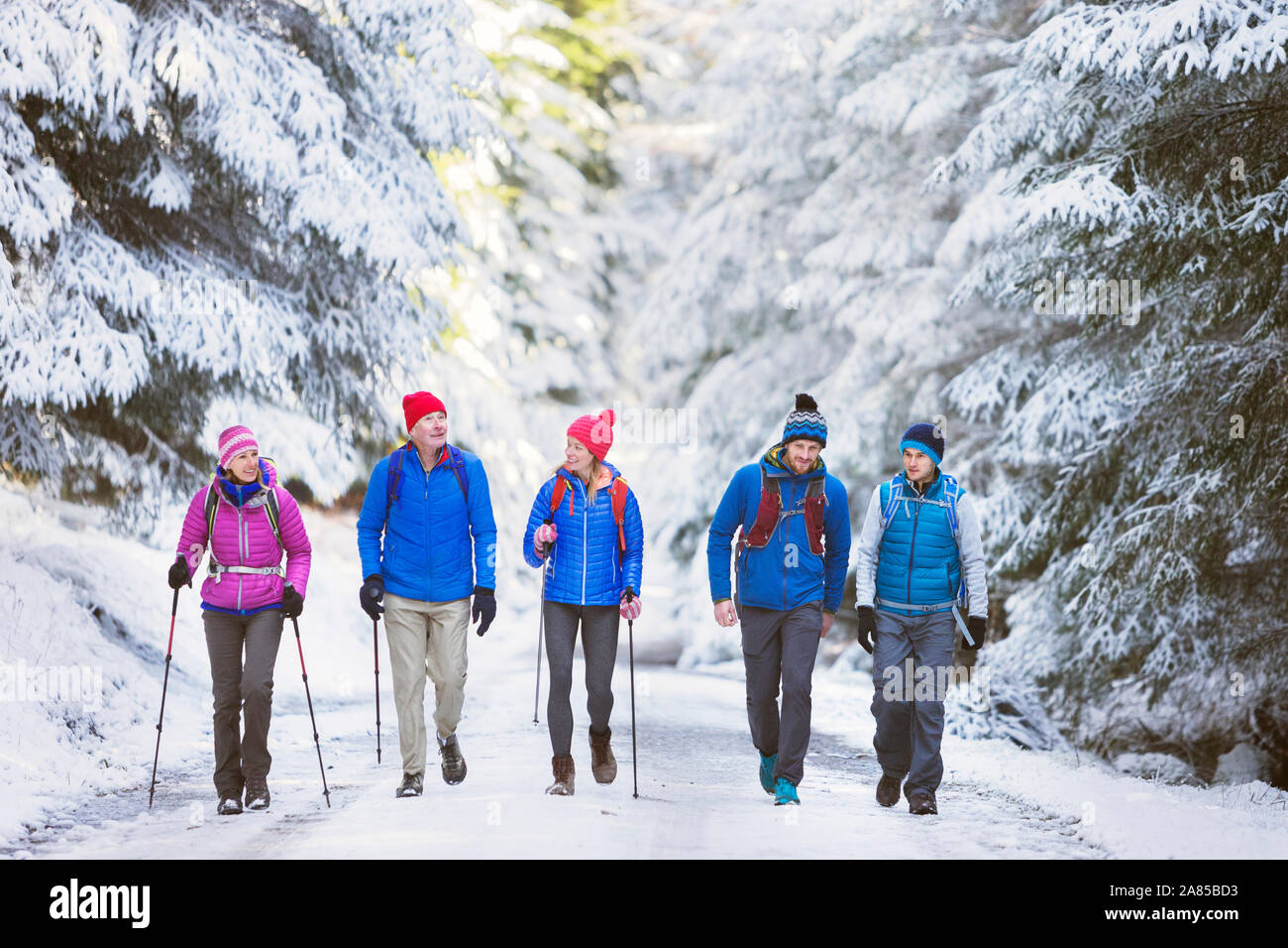 Family hiking on trail in hi-res stock photography and images - Alamy