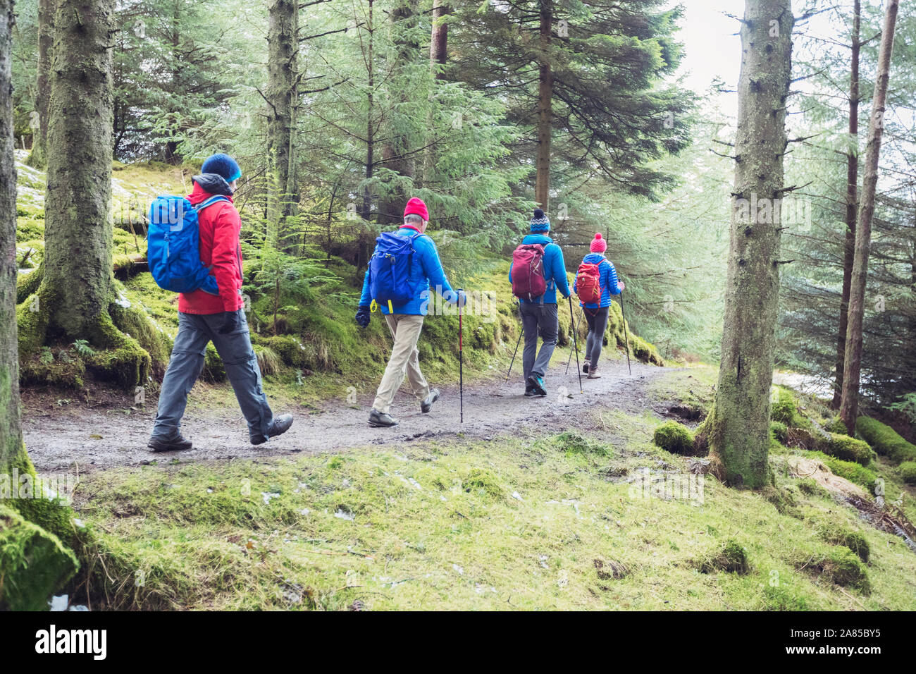 Family hiking on remote trail in woods Stock Photo - Alamy