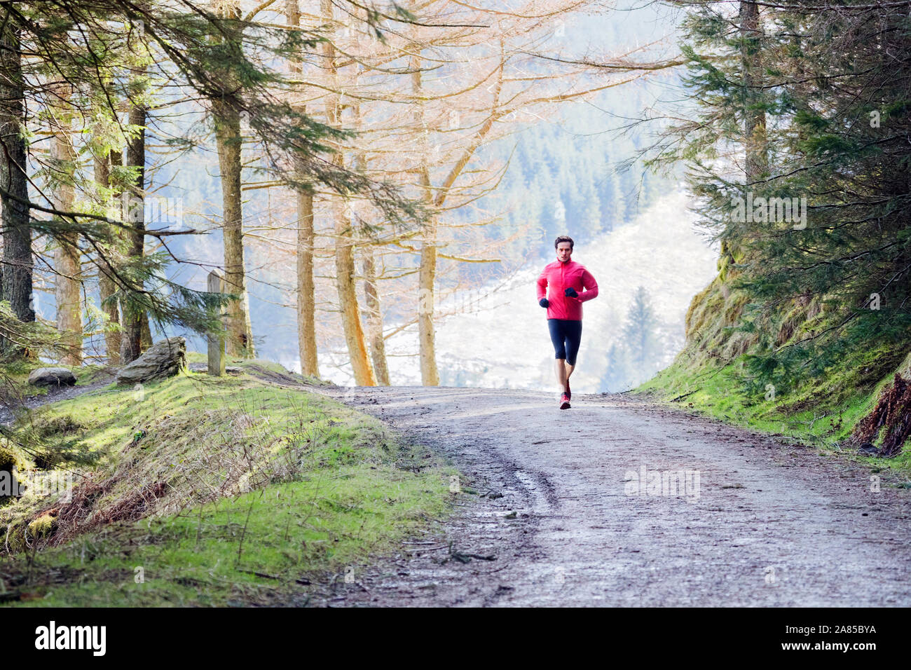 Running man jogging on trail hi-res stock photography and images - Alamy