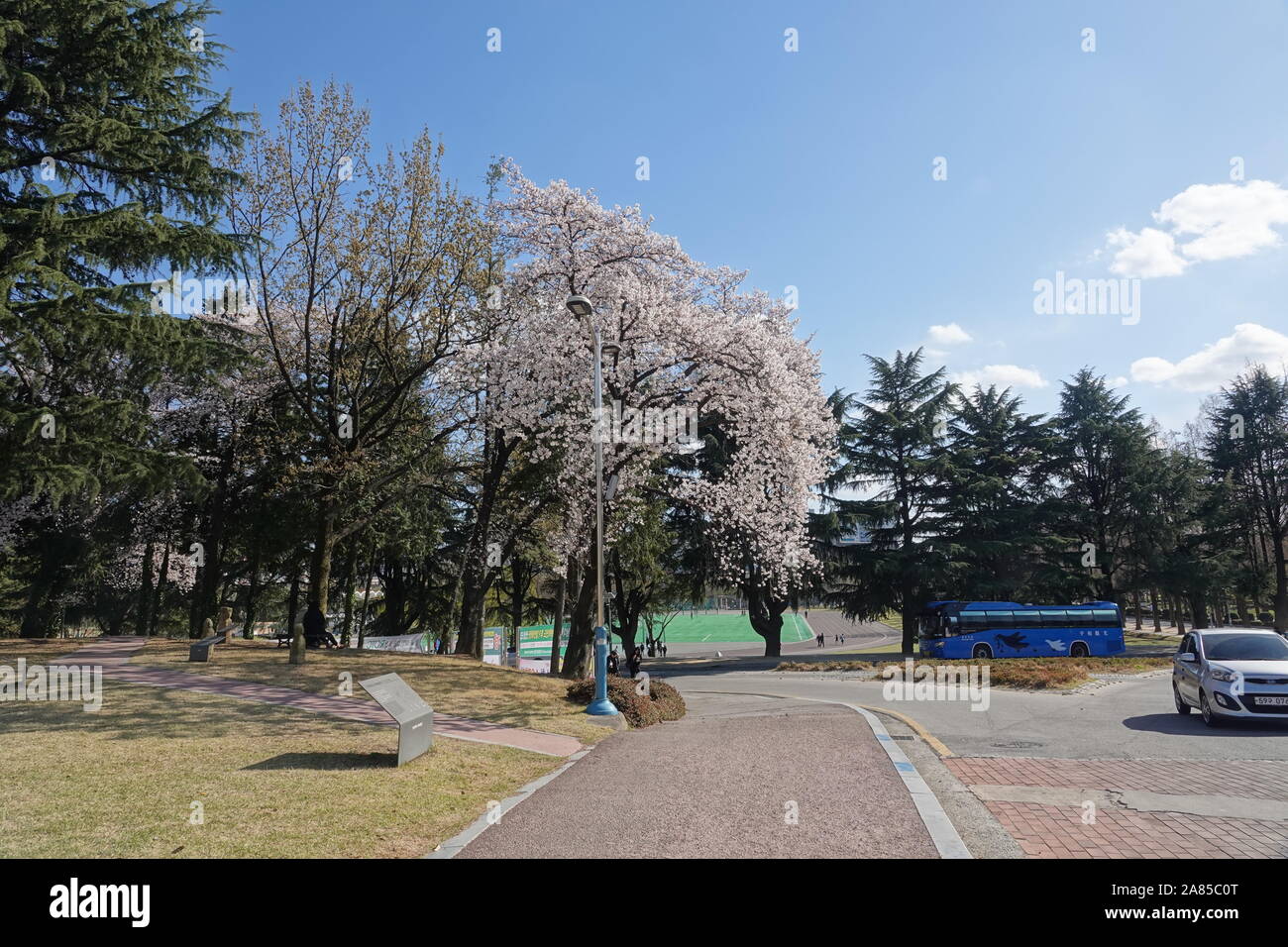 Spring on the university campus Stock Photo - Alamy