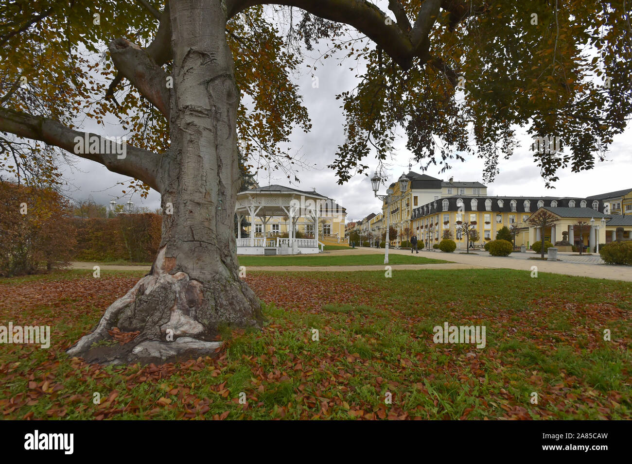Czech Spa Frantiskovy Lazne (pictured November 4, 2019) with project ...