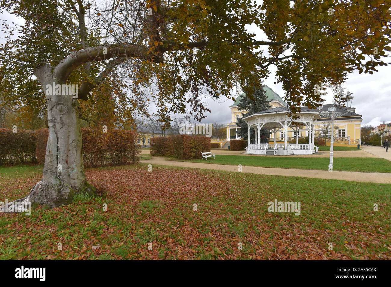Czech Spa Frantiskovy Lazne (pictured November 4, 2019) with project ...