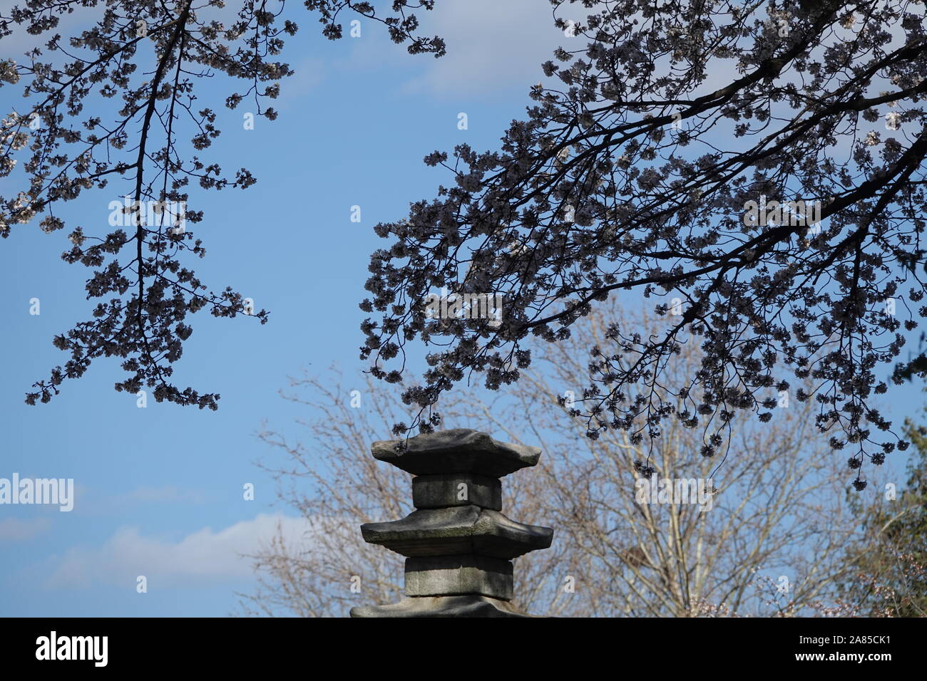 Spring on the university campus Stock Photo - Alamy