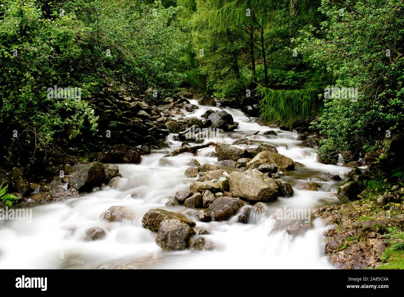 Lake district stream beck moss hi-res stock photography and images - Alamy