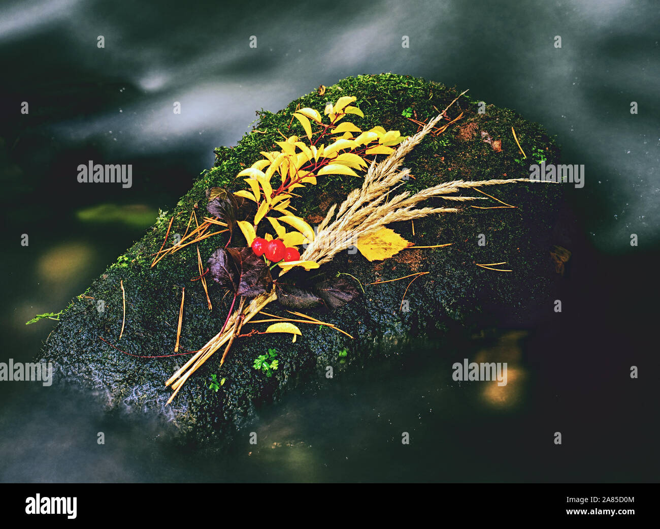 Bouquet of colorful flowers and autumnal leaves on boulder in spring ...