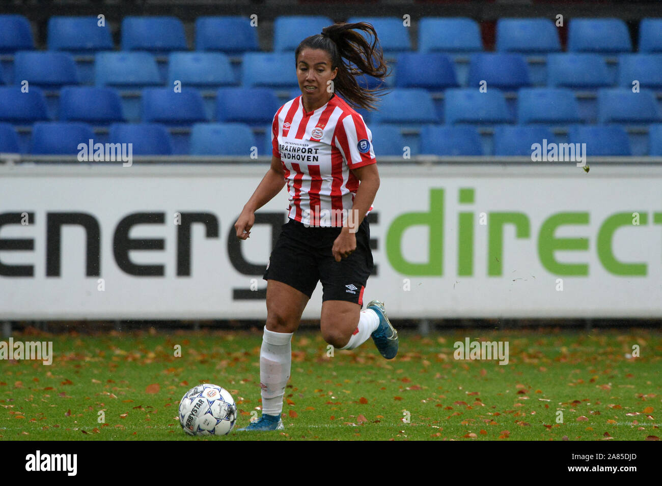 Pattiwael hi-res stock photography and images - Alamy