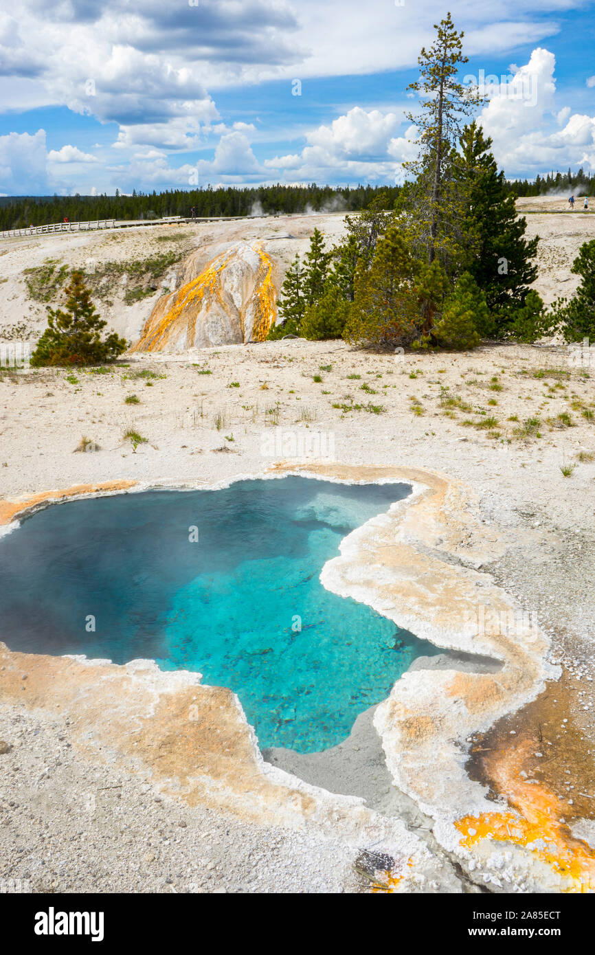 Blue Star Spring, with Cascade Spring in the background, Yellowstone ...
