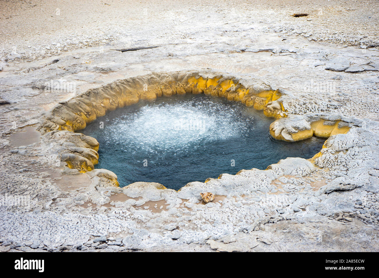 Beach Geyser High Resolution Stock Photography and Images - Alamy