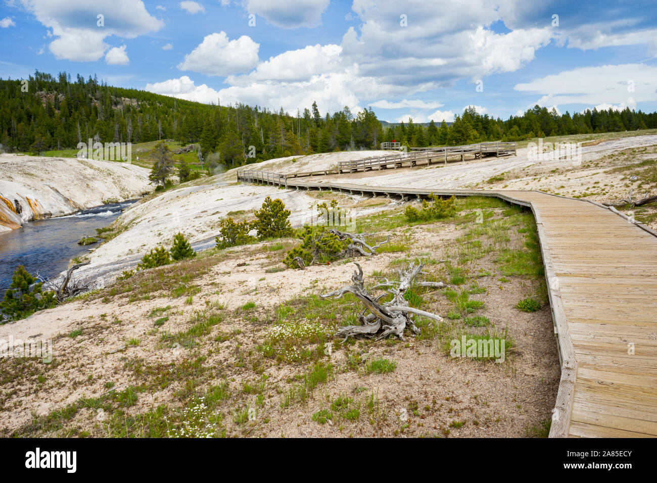Yellowstone Road High Resolution Stock Photography and Images - Alamy