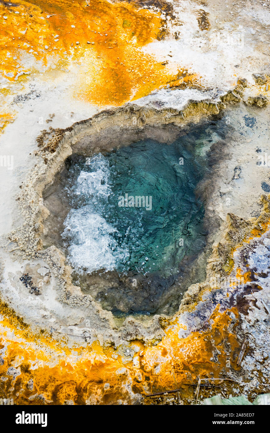 Colorful Geyser from above in Yellowstone National Park Stock Photo - Alamy