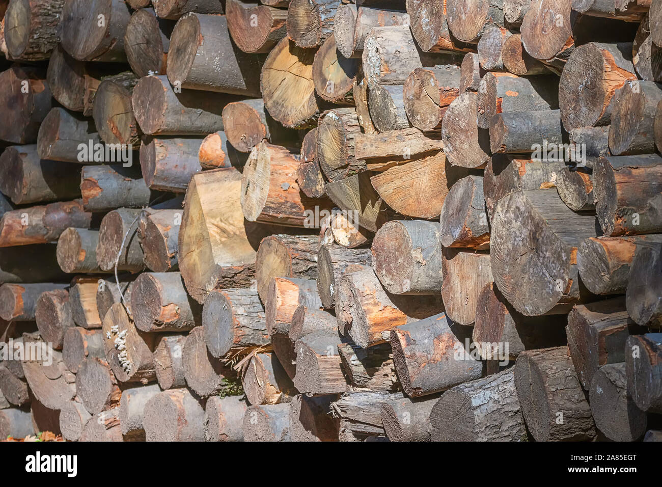 Pile of Wood, Stack of Firewood Close Up, Background Stock Photo - Alamy